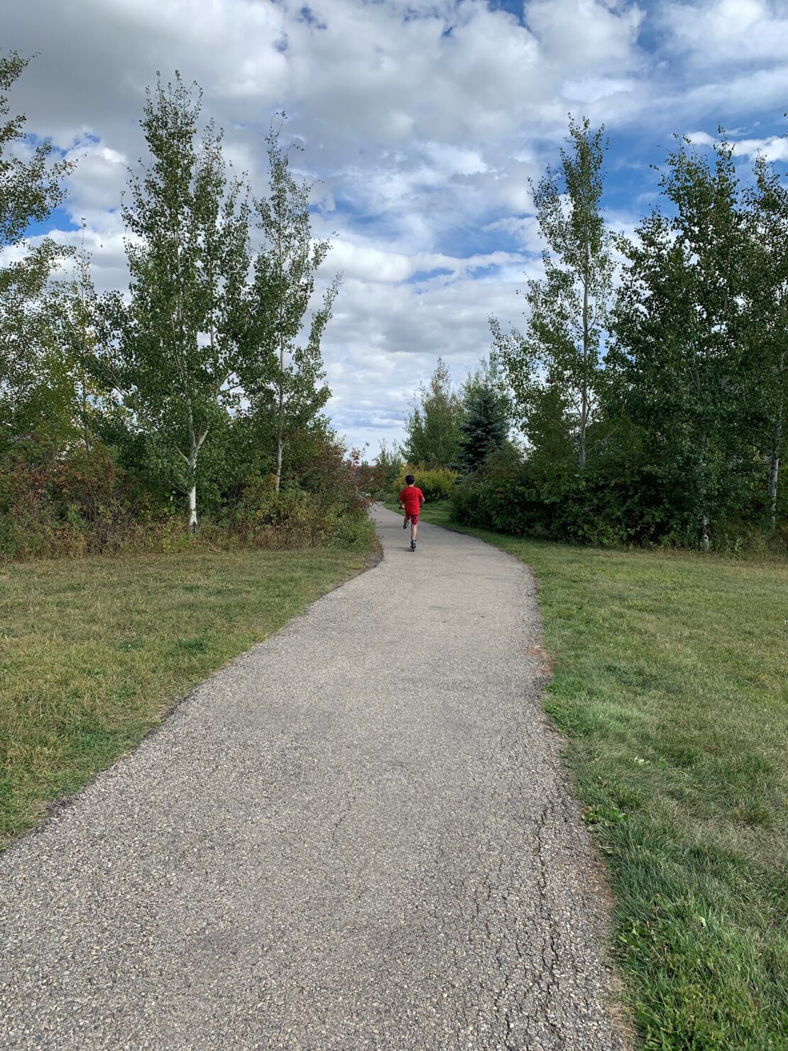 Silver Spruce New Homes & Show Homes in Calgary | Excel Homes